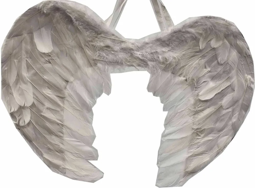 White Feather Curved Wings (55x40cm)